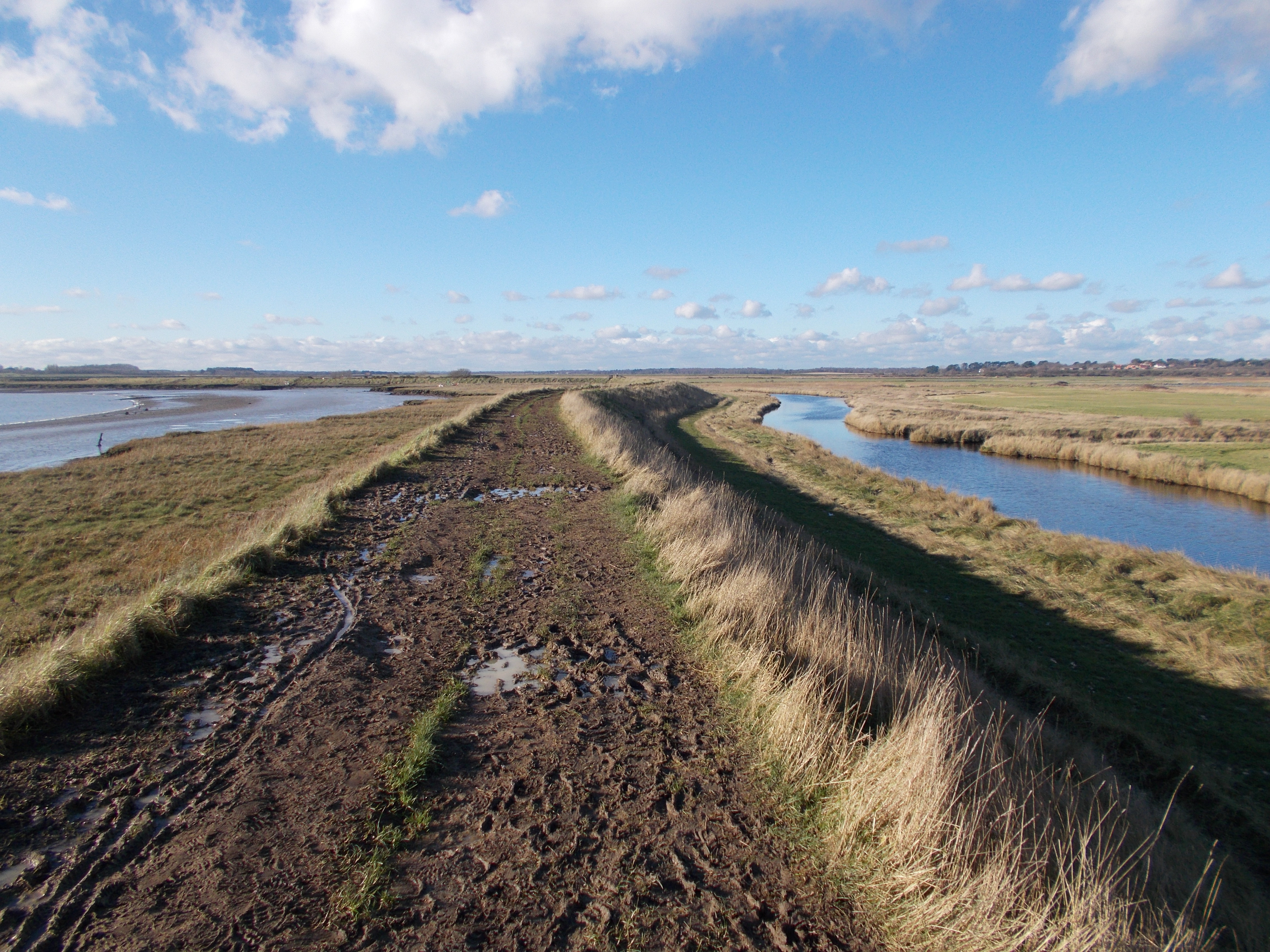 Landscapes of marshes and estuary – alteredcoast