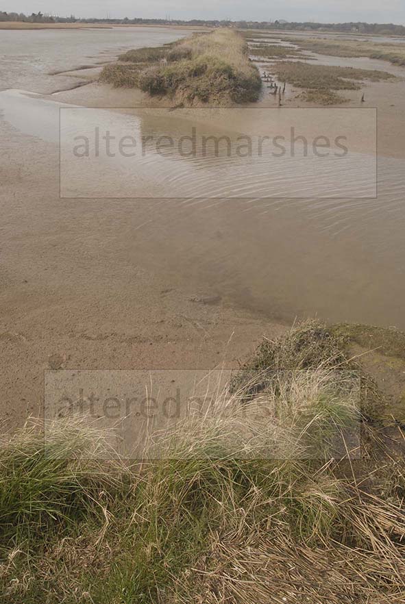 Iken Cliff – alteredcoast