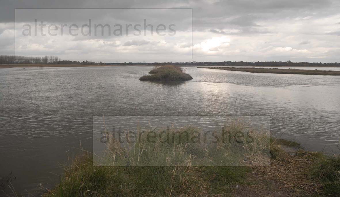 Iken Cliff – alteredcoast