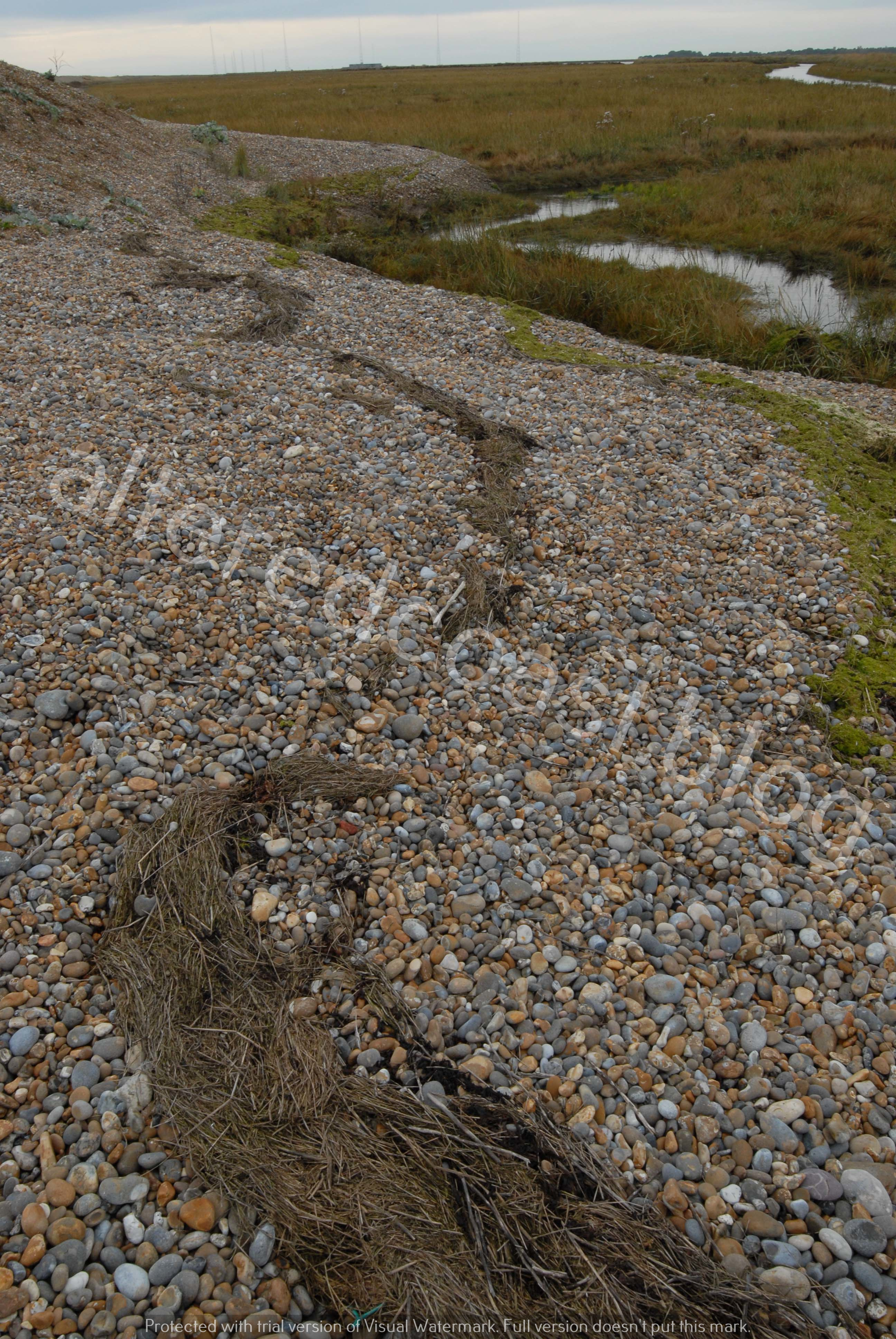 Sudbourne Beach – Fragile Sediment – alteredcoast